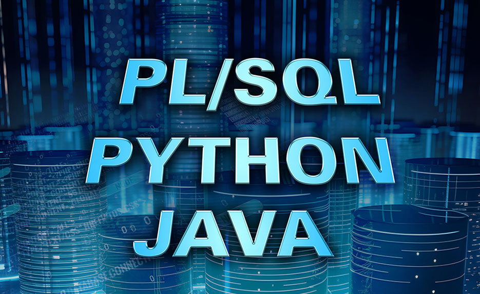 Online Oracle Sql And Plsql Python Developer Java Developer From Tidewater Community College 